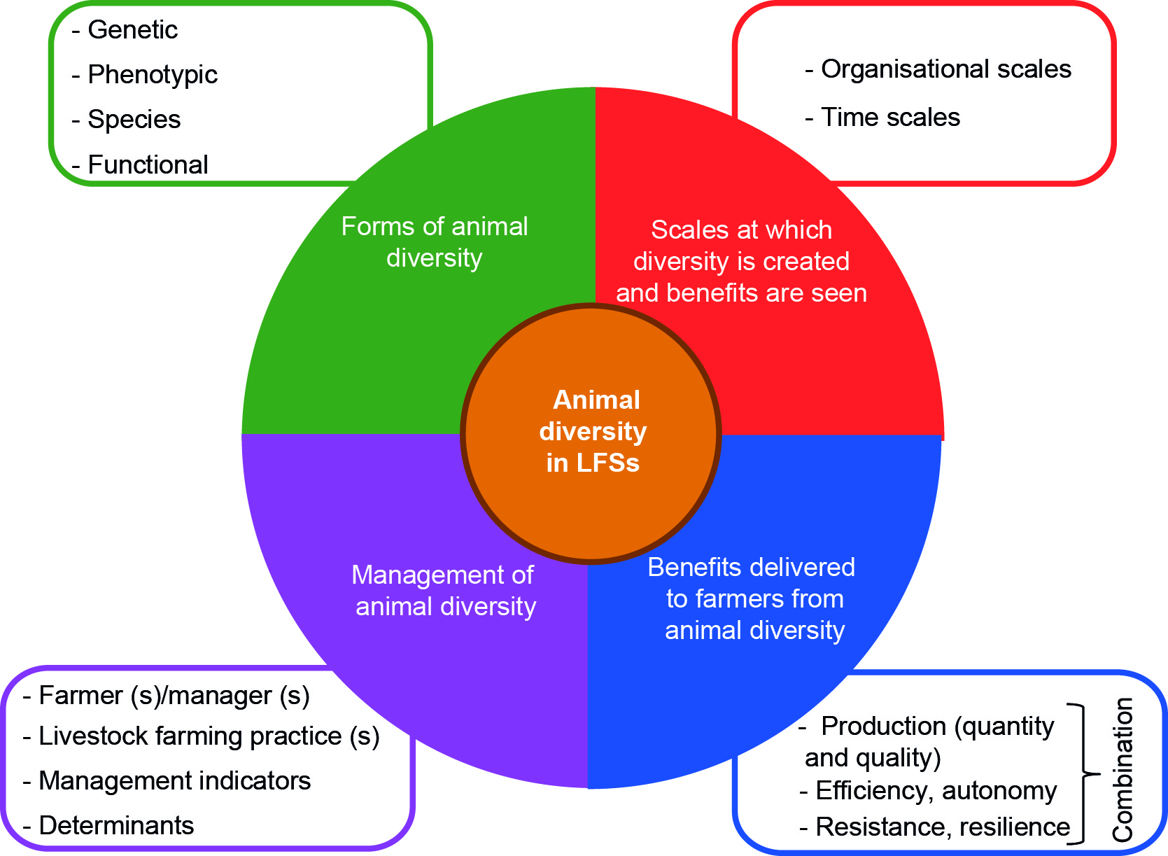 1.1. The different forms of animal diversity