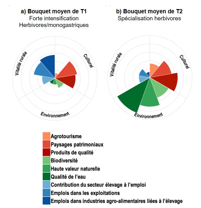Les effets du processus d’intensification de l’élevage dans les ...