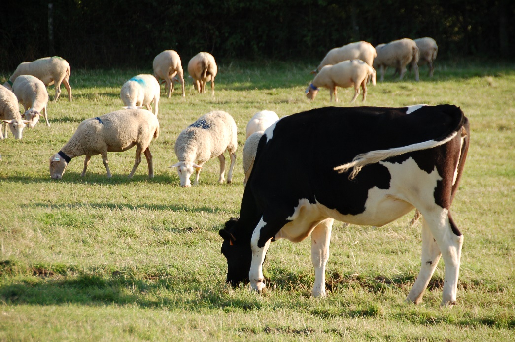 Save View full size Expand inline Collapse inline