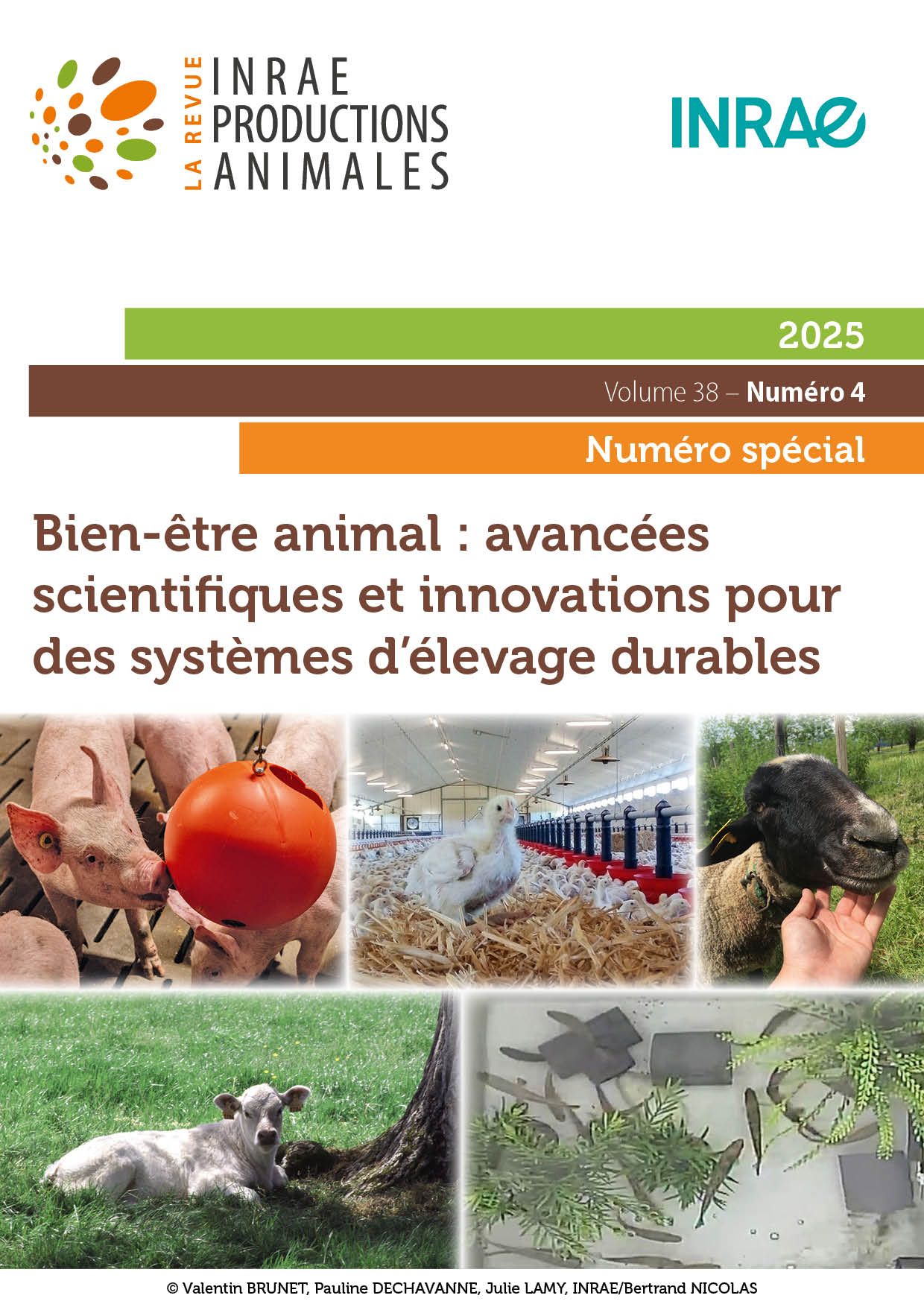 Vol. 38 No 4 (2025): Numéro spécial : Bien-être animal : avancées ...